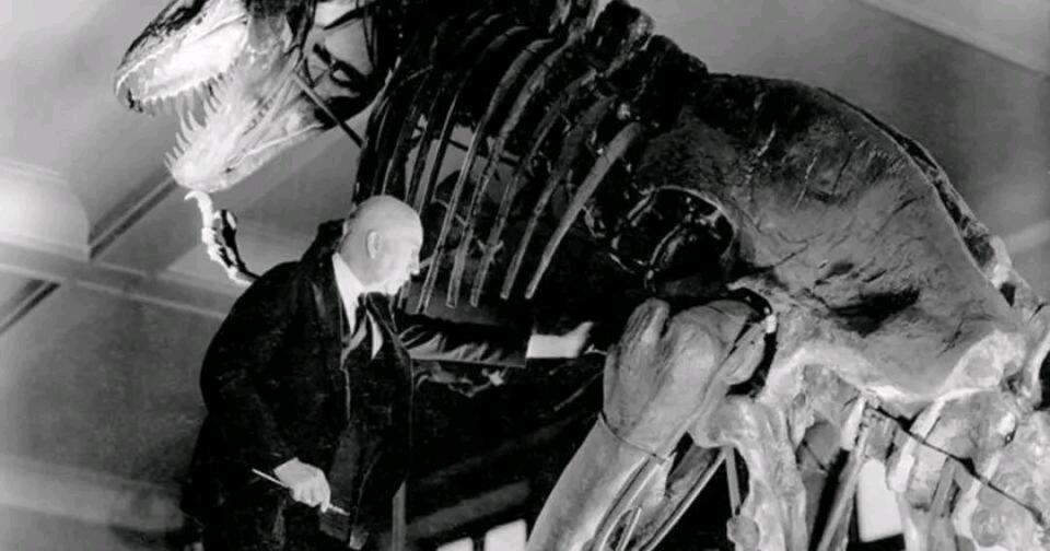 聊点大个体霸王龙的体型 - 哔哩哔哩