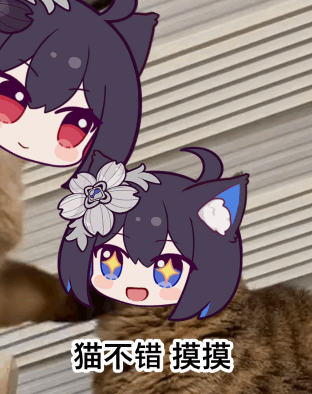 符瑶koritsu的动态 - 哔哩哔哩