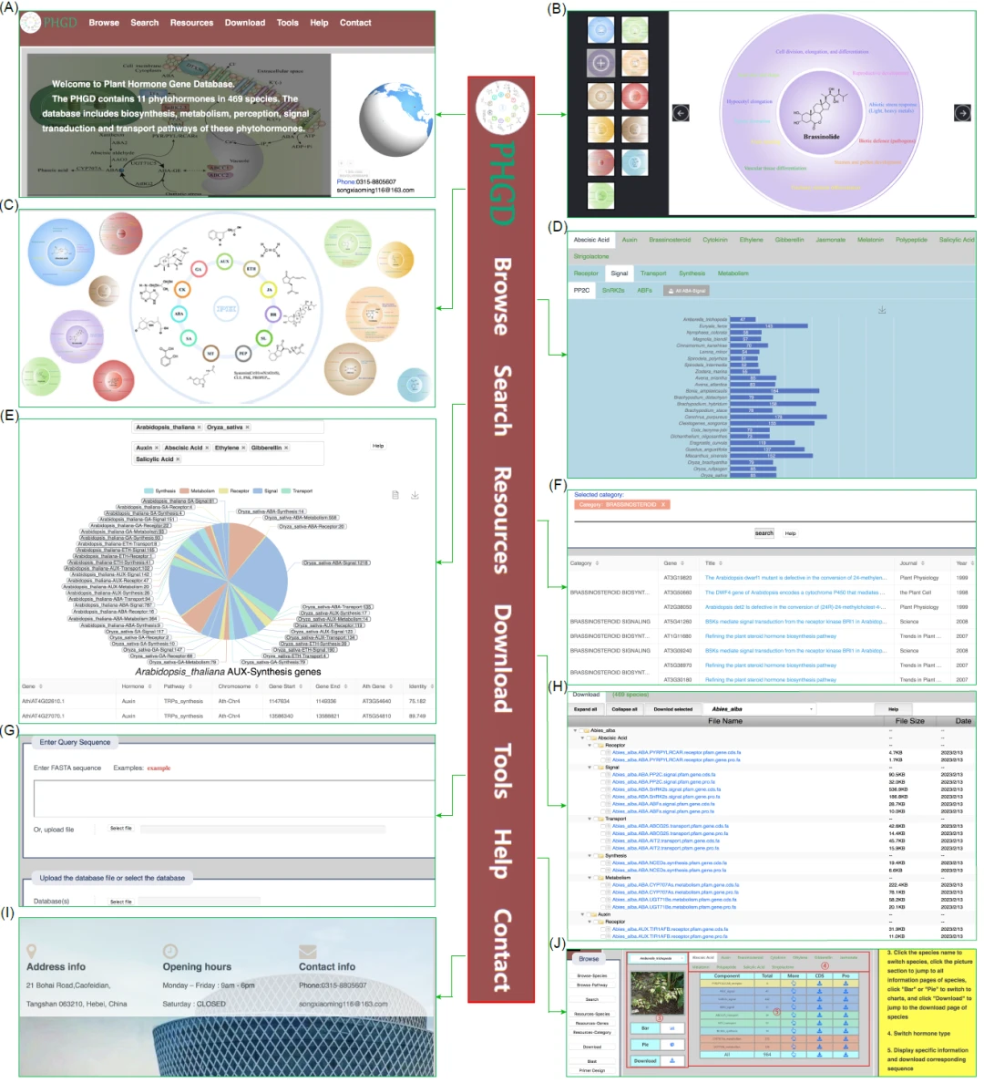 iMeta | 华北理工宋小明组开发植物激素相关基因数据库PHGD - 哔哩哔哩