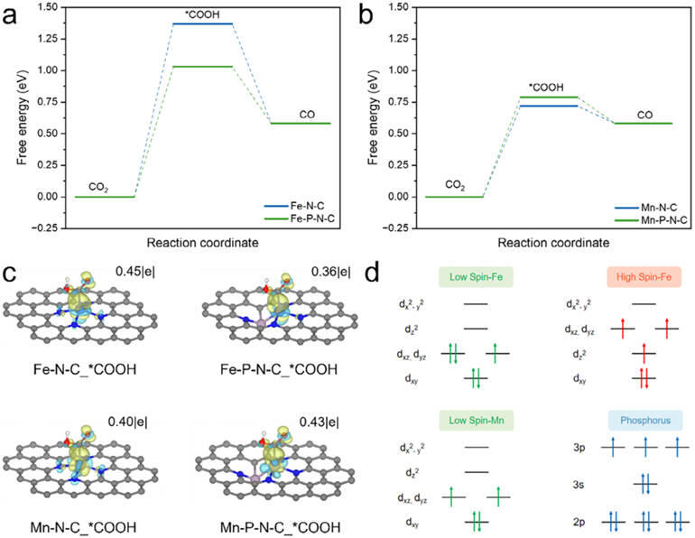 CO2RR最新Adv Mater.：单原子催化剂的3d自旋态调控 - 哔哩哔哩