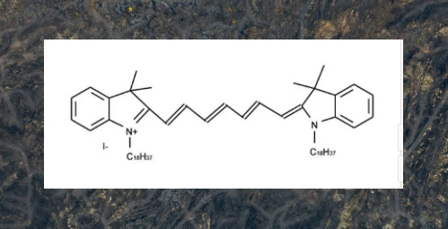 DiO、Dil、DiR和Did都是Di系列染料探针 - 哔哩哔哩