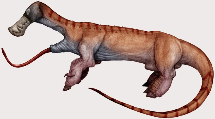 斯奈亚德/Snaiad 全文中译 4-18 脊椎动物-卡海德隆类 - 哔哩哔哩