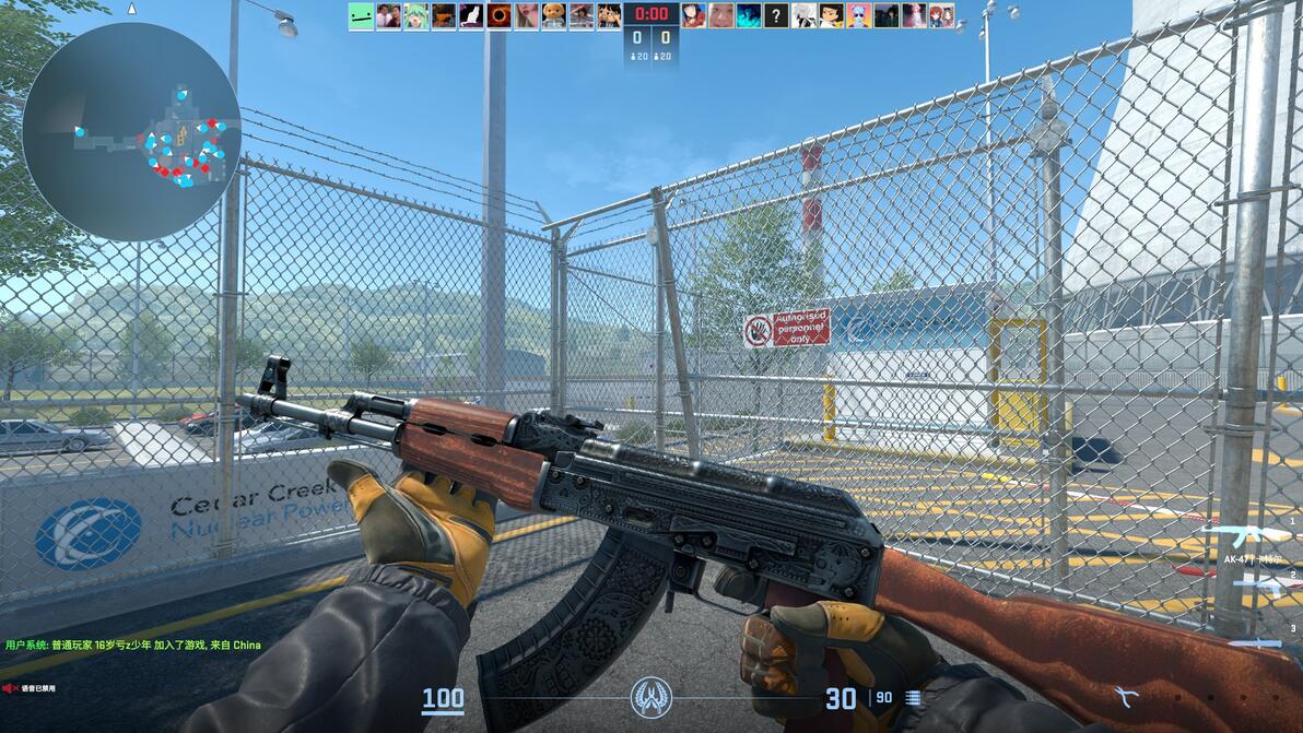 CS2 ak-47皮肤推荐 - 哔哩哔哩