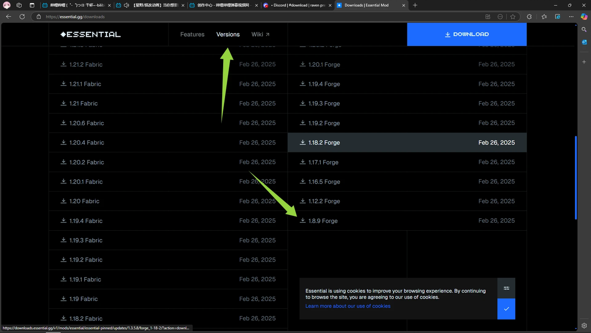 如何使用Raven B4保姆级教程 - 哔哩哔哩