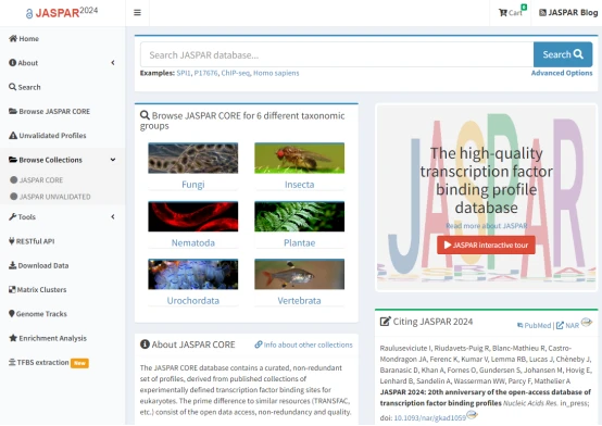 常用网站介绍|查找转录因子的“好帮手”：JASPAR&PROMO - 哔哩哔哩