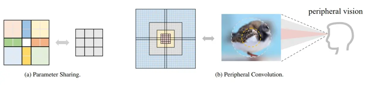 新一代大核卷积反超ViT和ConvNet！同参数量下性能、精度、速度完胜 - 哔哩哔哩