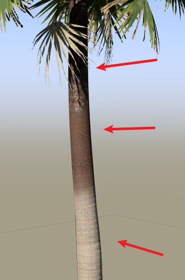 【Speedtree】实现树干trunk上呈现多种材质，指定底部材质 - 哔哩哔哩