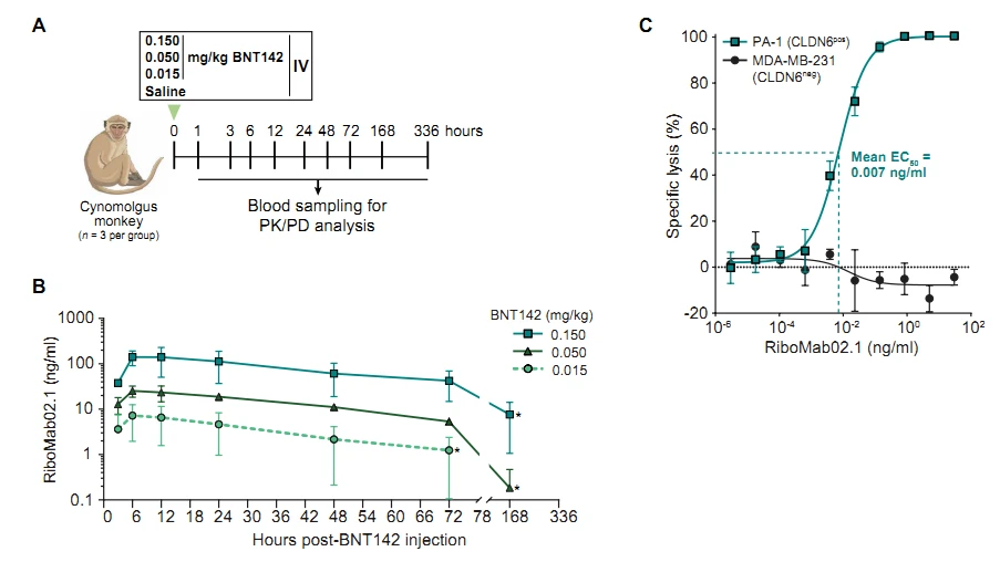 BioNTech早研靶点|mRNA双抗疗法BNT142的设计与临床前评估 - 哔哩哔哩