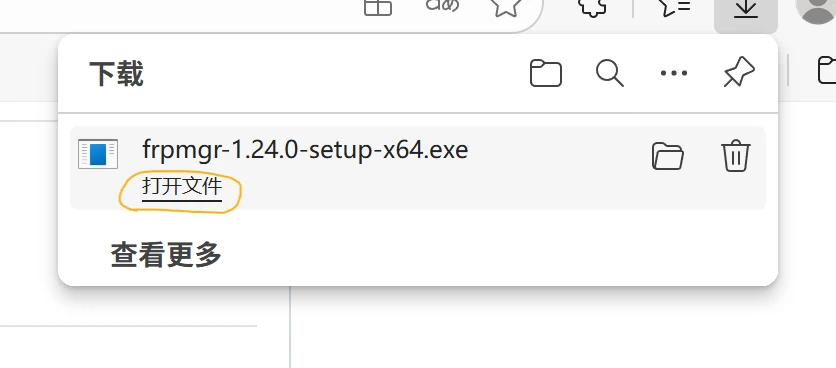 Frps安装教程（使用1Panel应用功能安装，并使用frpmgr管理面板连接） - 哔哩哔哩