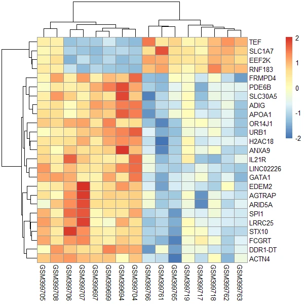 R语言热图美化pheatmap包（免费获取代码） - 哔哩哔哩
