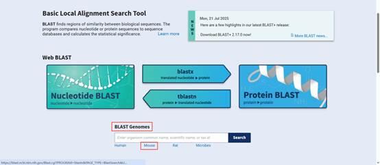 sgRNA设计教程（一）——Benchling - 哔哩哔哩