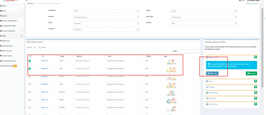 科研必备：JASPAR一个好用的靶基因转录因子预测数据库 - 哔哩哔哩