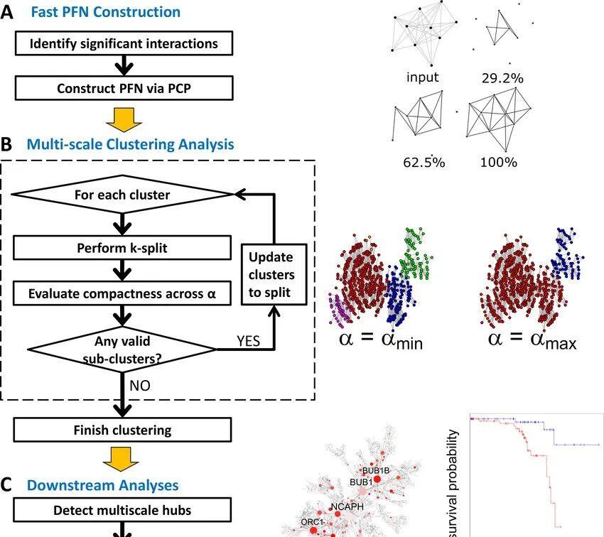 时序共表达网络算法除了WGCNA，还有更多的选择 - 哔哩哔哩