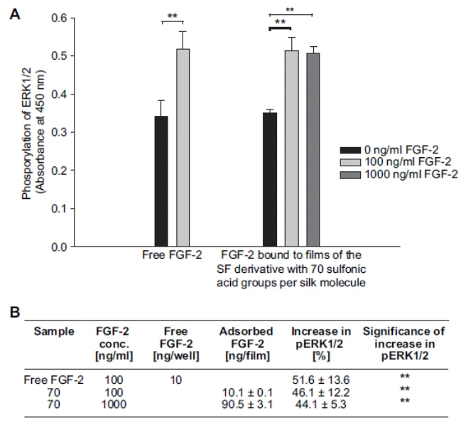 天然生长因子“储藏室”：磺化丝素蛋白实现FGF-2的高效结合与活性递送 - 哔哩哔哩