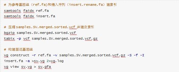 基于图形泛基因组的群体GWAS实操代码《一》：基于vcf文件构建图形泛基因组 - 哔哩哔哩