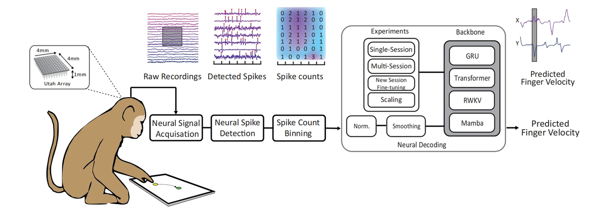 Transformer你还坐得住吗？Mamba首个通用开源大模型一鸣惊人！ - 哔哩哔哩