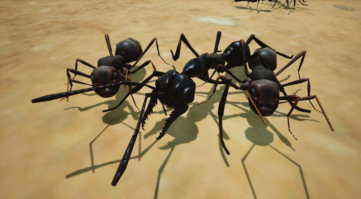 2025 年 8 月新闻通讯和路线图更新 - 哔哩哔哩