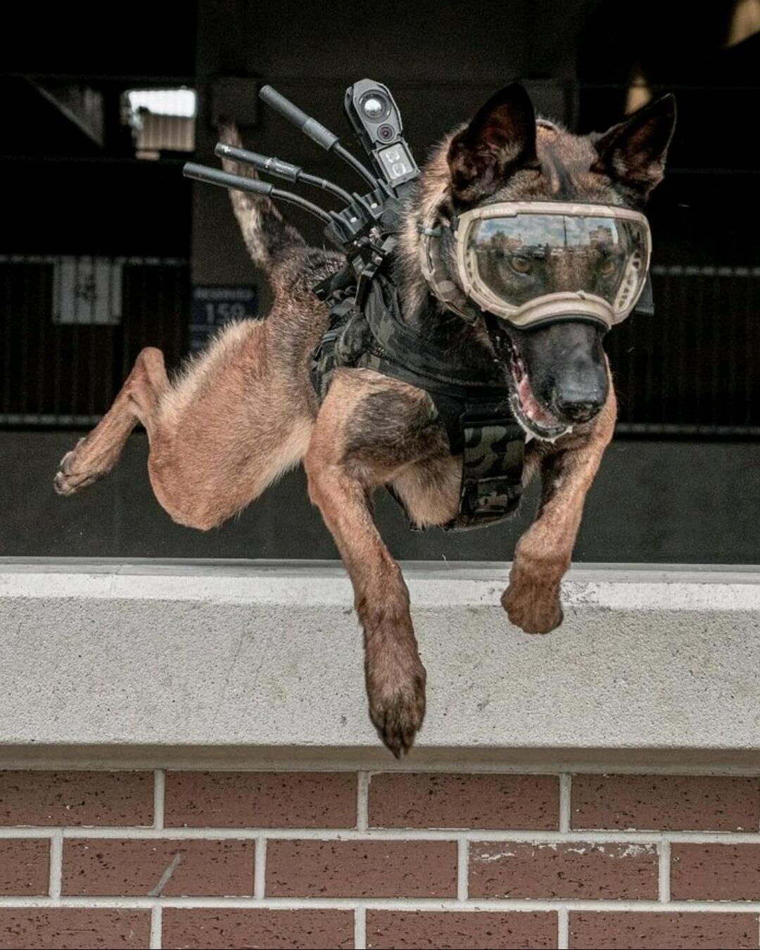 新时代战术通讯设备：mpu5移动自组网手持电台 - 哔哩哔哩