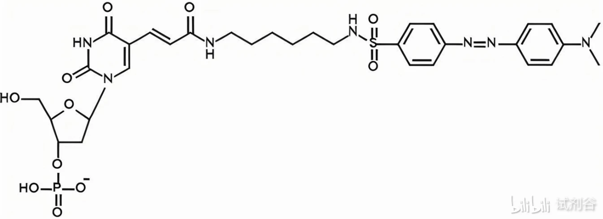 DABSYL Amidite (T Linker Arm)使用与处理须知 - 哔哩哔哩