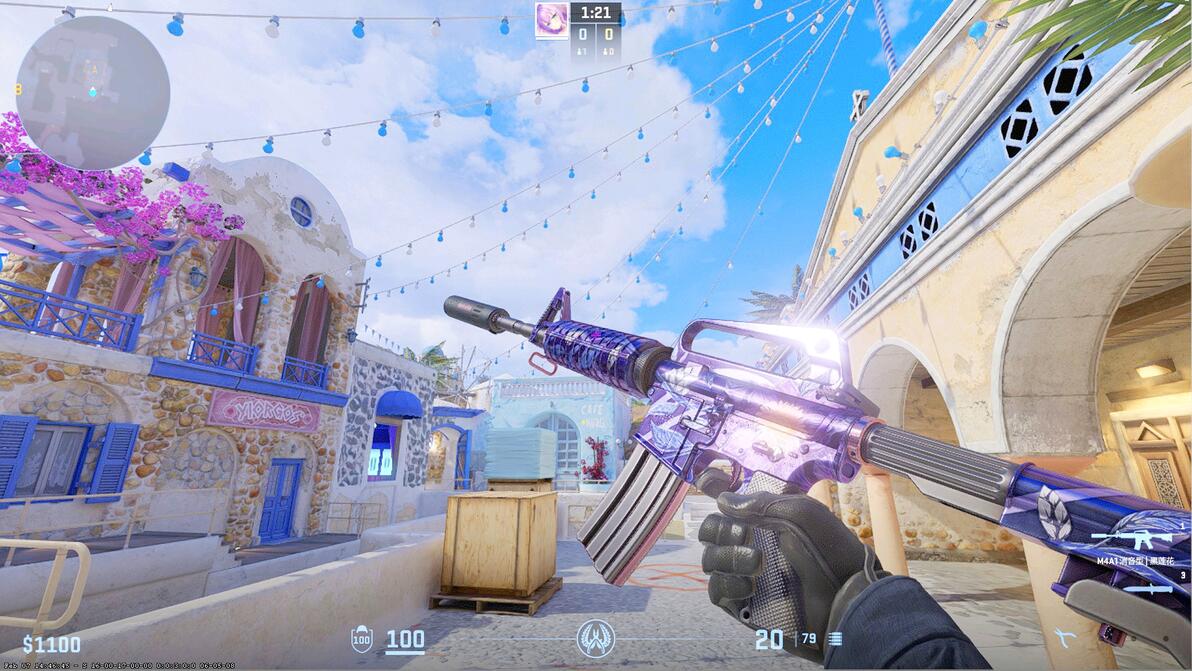 【cs2】皮肤评测日志EP.56 黑莲花(续) - 哔哩哔哩