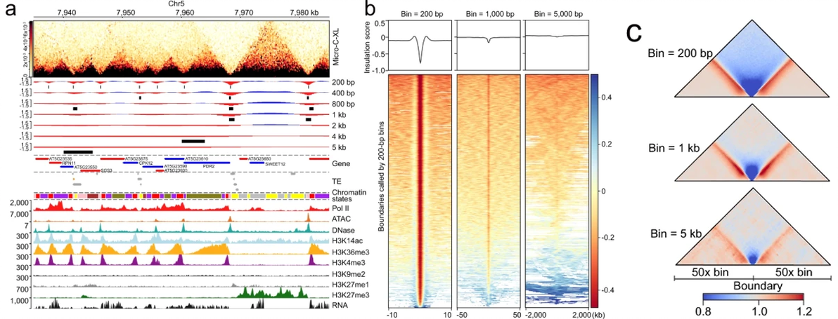 Micro-C: 探索动植物超高分辨率三维基因组结构特性 - 哔哩哔哩