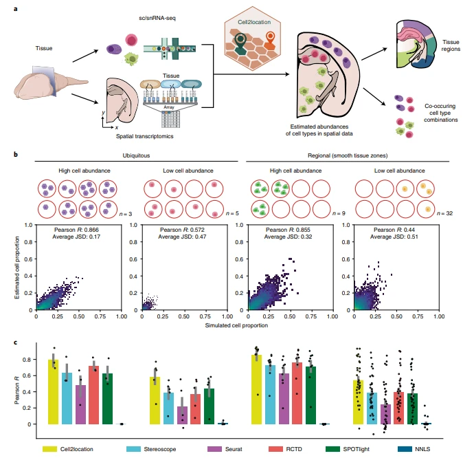 《NBT》| Cell2location注释空间数据细胞 - 哔哩哔哩