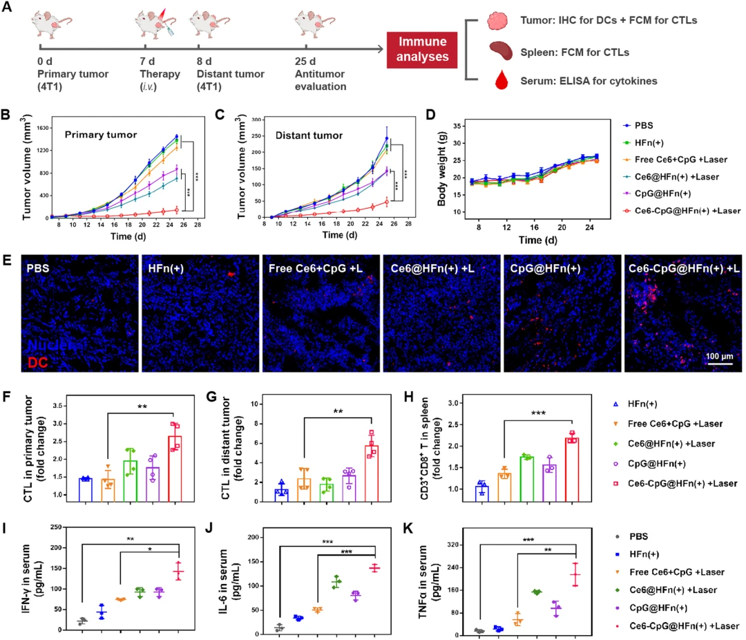 蛋白质纳米笼递送系统——《Nano Today》：构建基于铁蛋白的万能纳米载体用于TLR核酸 - 哔哩哔哩
