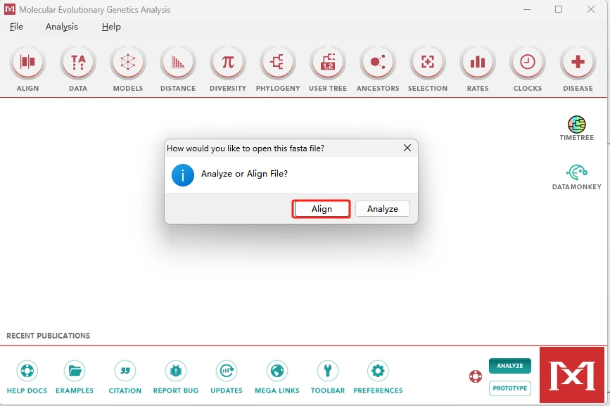 如何使用MEGA 11完成多序列比对和系统发育树构建图？ - 哔哩哔哩