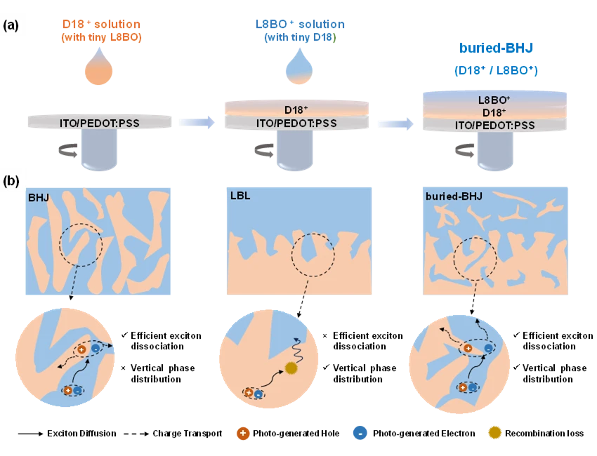 薄志山课题组《Advanced Materials》：逐层沉积膜厚500 nm高效有机太阳能电池 - 哔哩哔哩