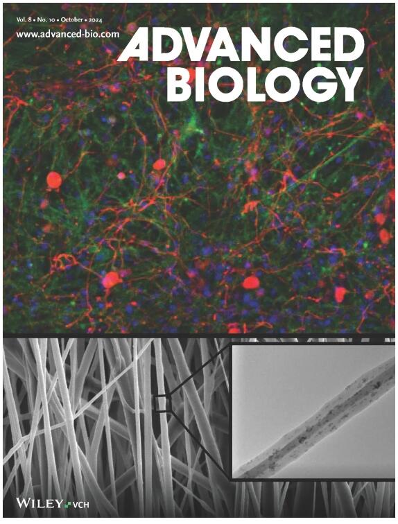 Wiley Advanced系列将陆续上线六种期刊 - 哔哩哔哩