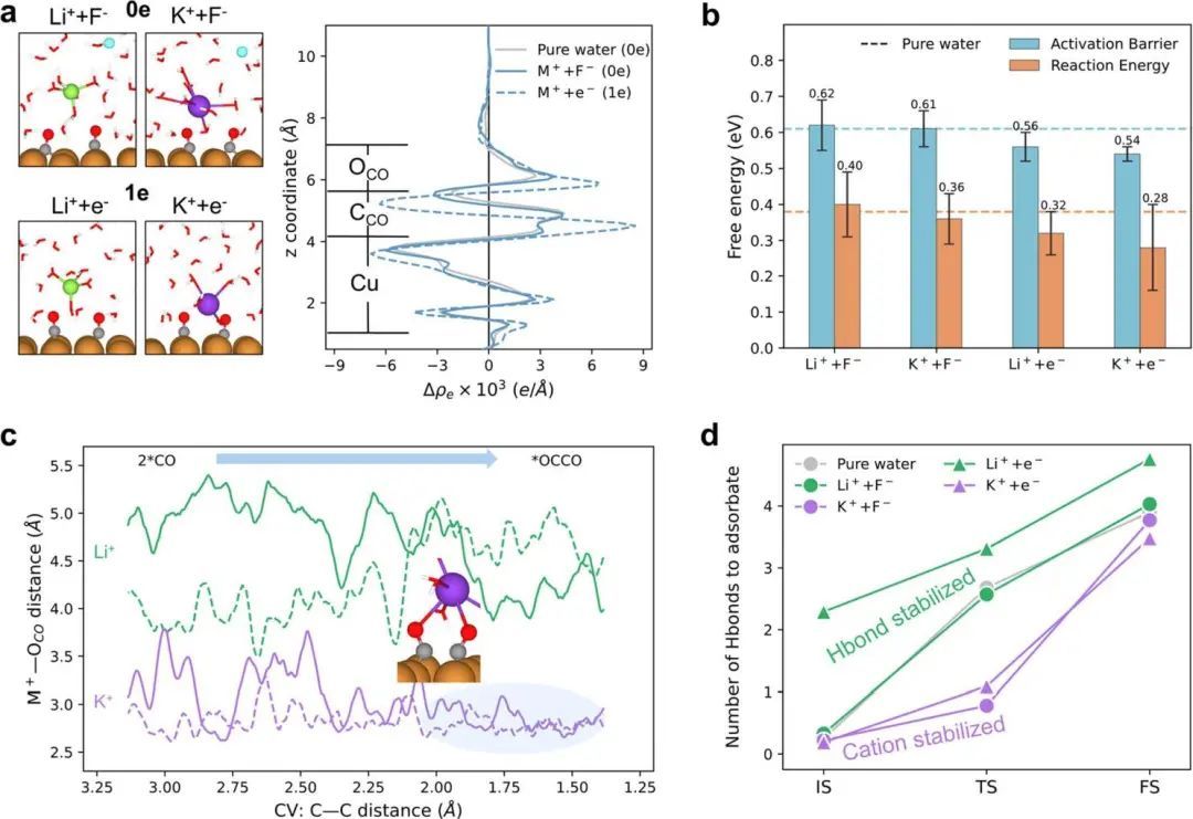 JACS：C-C耦合新设计！阳离子诱导疏水界面促进电催化CO2RR - 哔哩哔哩