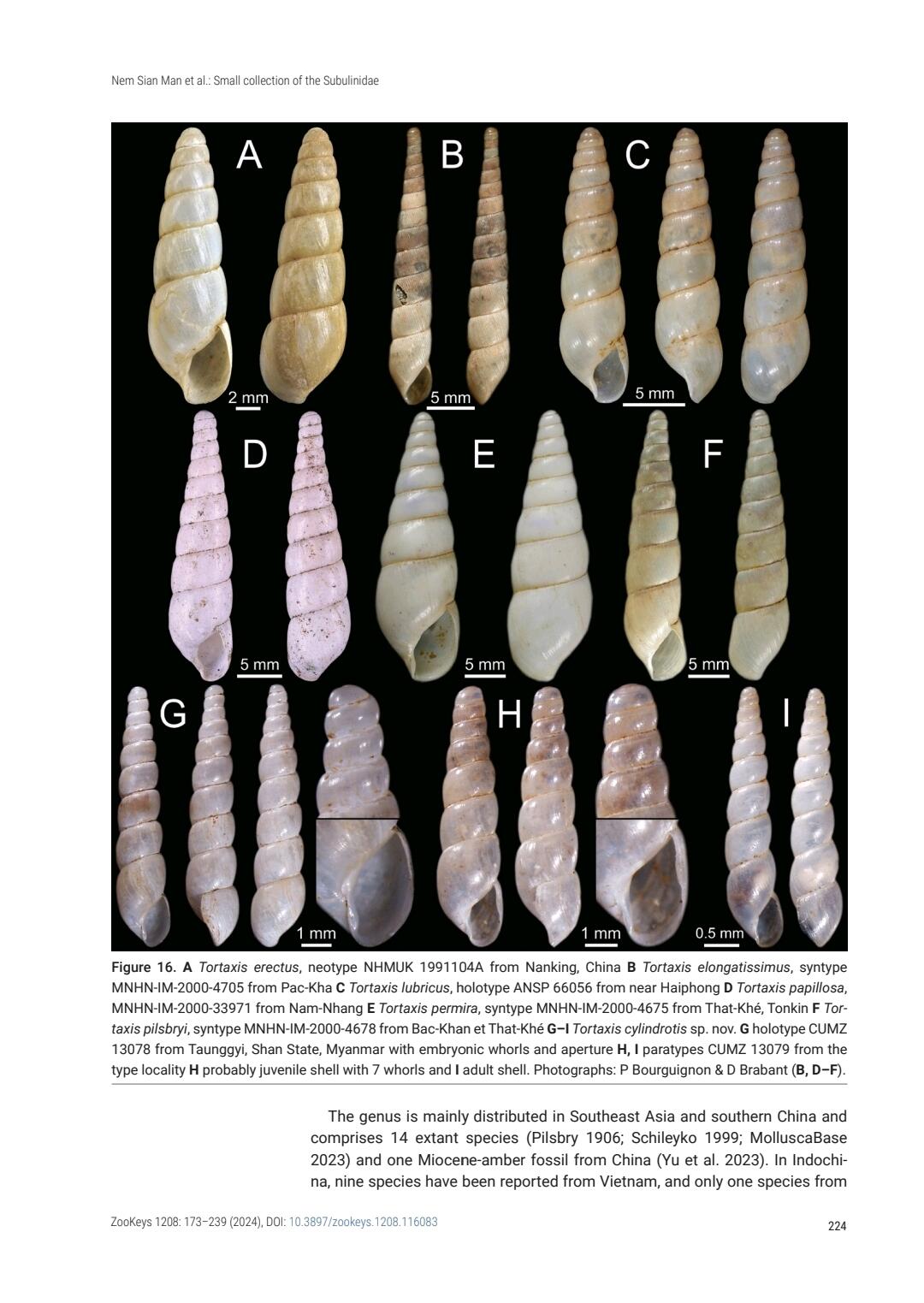 2024年下半年中国陆生贝类新闻总结 - 哔哩哔哩