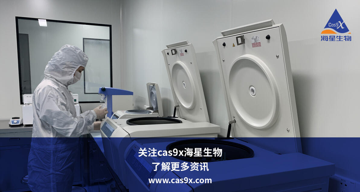 CRISPR文库筛选—如何设计sgRNA文库？ - 哔哩哔哩