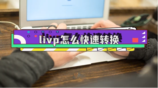livp格式是什么？怎么快速转换livp格式？5个软件教你快速转换 - 哔哩哔哩