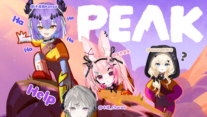 NDND的账号的动态 - 哔哩哔哩