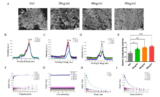 Mo2Ti2C3 MXene基水凝胶修复中神经形成和骨再生能力 - 哔哩哔哩