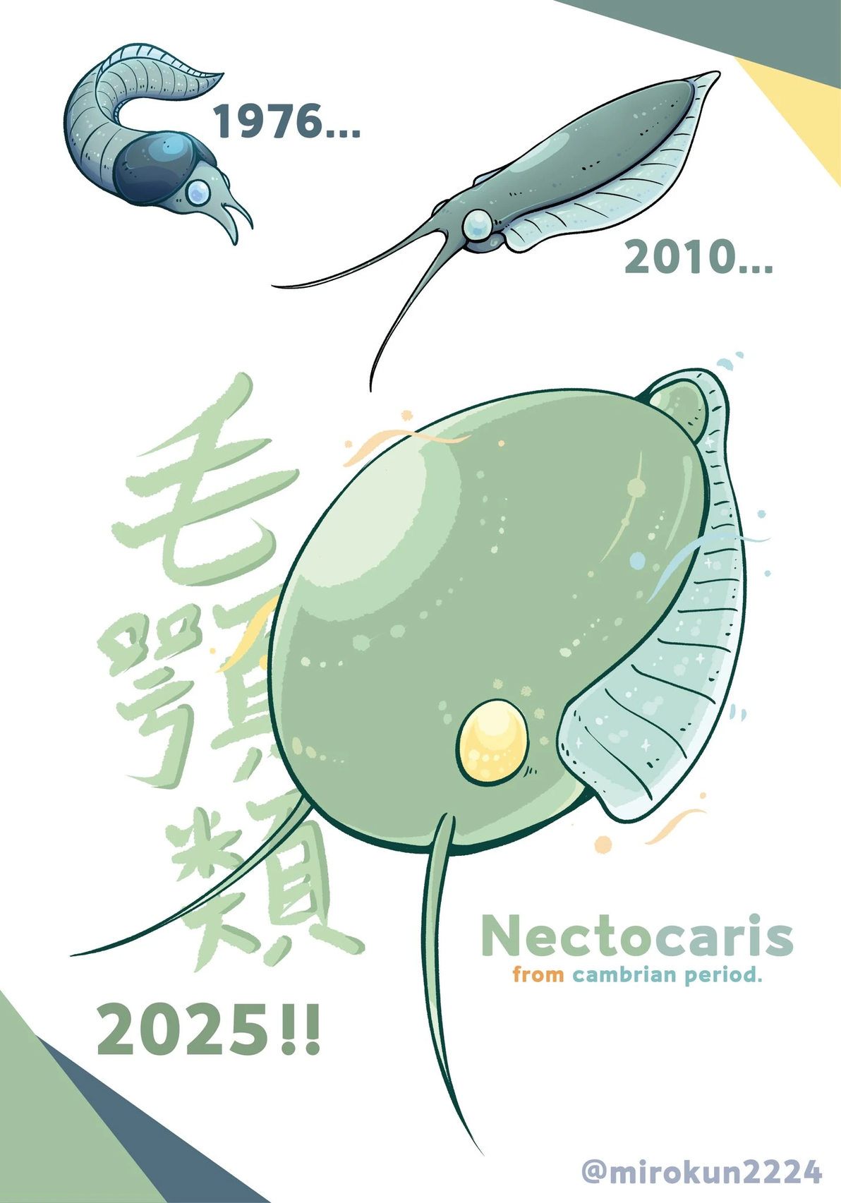 寒武魅影——泳虾科（Nectocarididae）跌宕的研究之路 - 哔哩哔哩