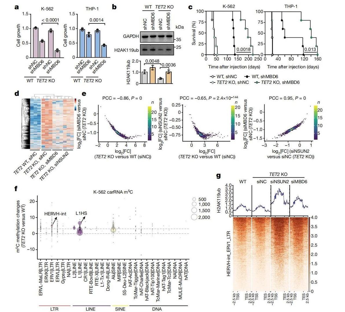 云舟生物助力沃尔夫奖得主何川团队重磅研究，破解TET2突变的致癌之谜！ - 哔哩哔哩