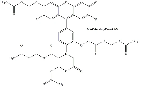 Mag-Fluo-4 AM, Cell Permeant 是一种细胞膜渗透性的荧光探针 - 哔哩哔哩
