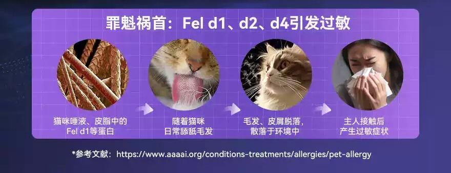 猫毛过敏科研突破！洛卫家专利技术如何用IgY技术为猫咪带来健康 - 哔哩哔哩