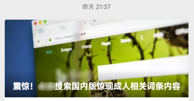 浏览器隐私扩展工具，NSFW Filter软件体验 - 哔哩哔哩