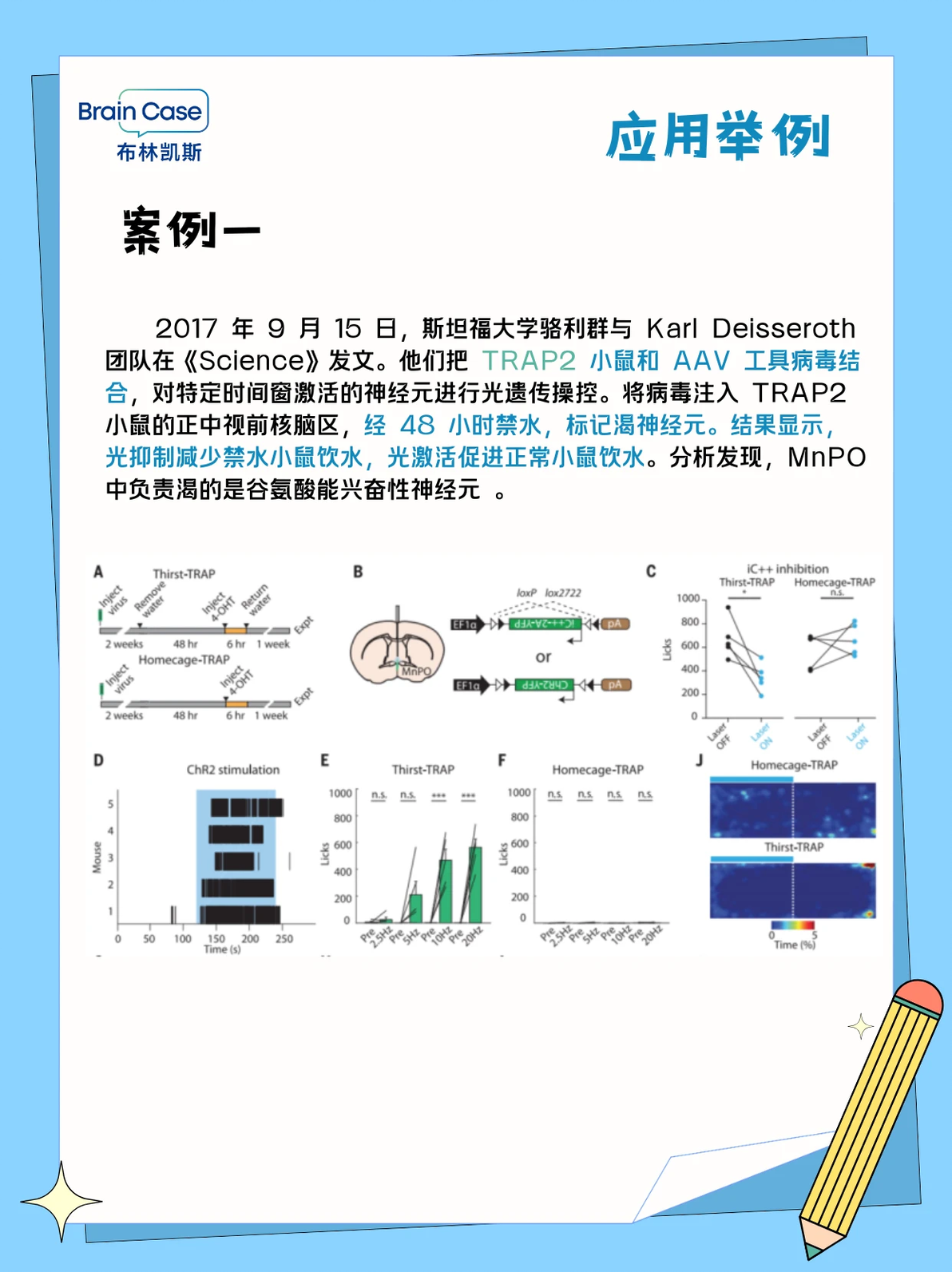TRAP2:神经元研究的“神奇画笔”!🖊 - 哔哩哔哩