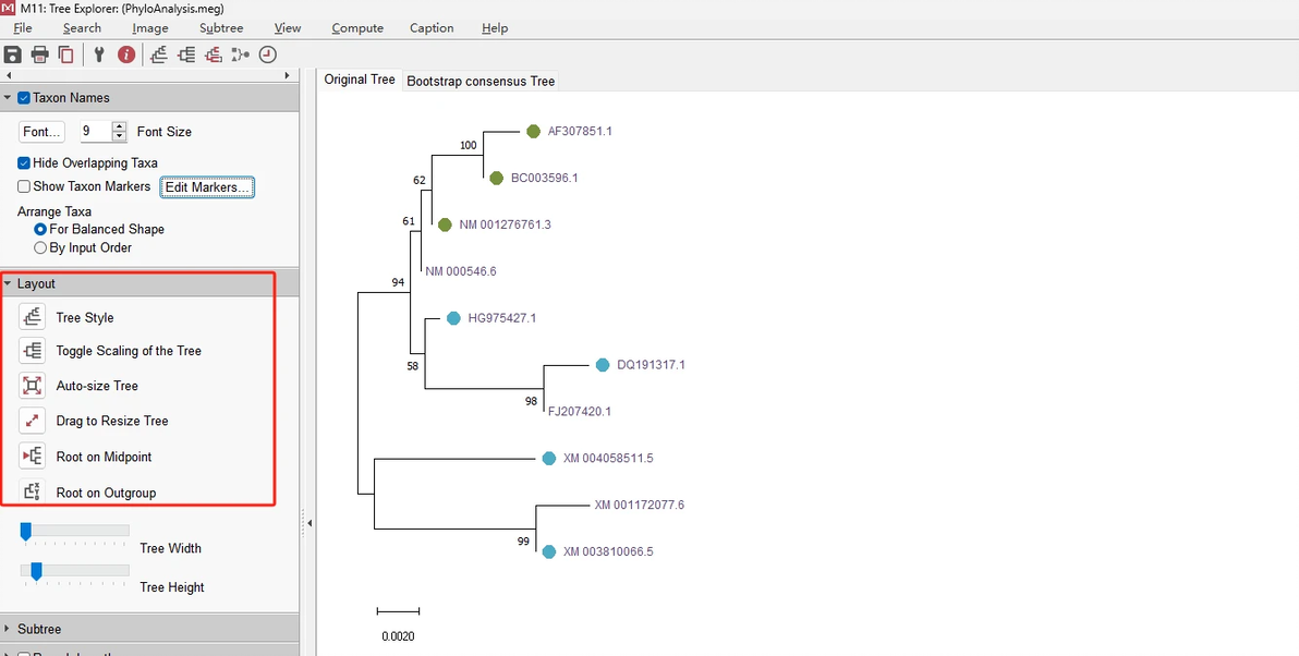 如何使用MEGA 11完成多序列比对和系统发育树构建图？ - 哔哩哔哩