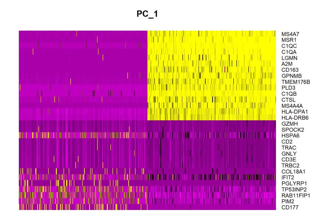 BD Rhapsody定量输出文件读取 - 哔哩哔哩