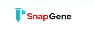 SnapGene6.0.2中文版安装教程 - 哔哩哔哩