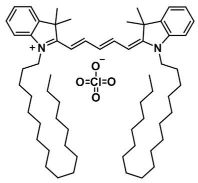 几种染料DiI, DiO, DiD和DiR，试剂物理化学性质参数如下 - 哔哩哔哩