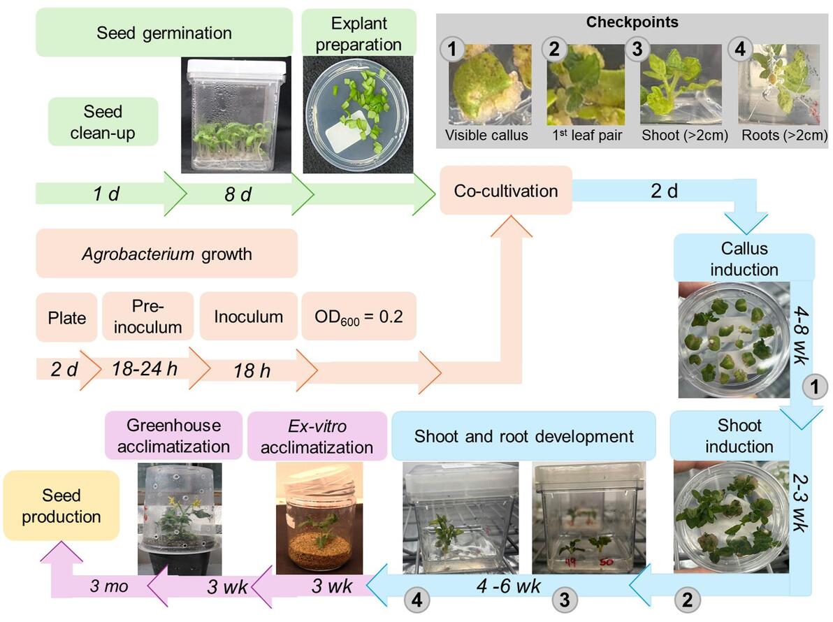 Bio-protocol | 2025年12月5日最新上线实验方案目录 - 哔哩哔哩