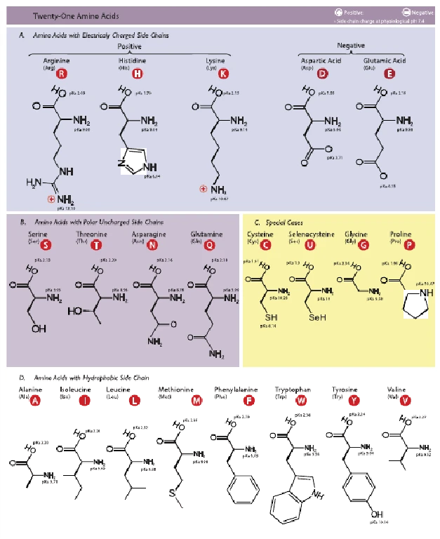 科研干货分享：融合蛋白Linker介绍与设计 - 哔哩哔哩
