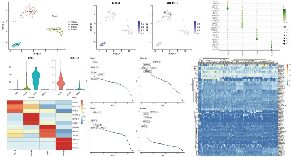 比R版本快几十倍| Pyscenic单细胞转录因子预测 - 哔哩哔哩